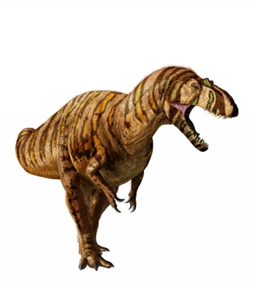 Discuss Everything About Dinopedia | Fandom