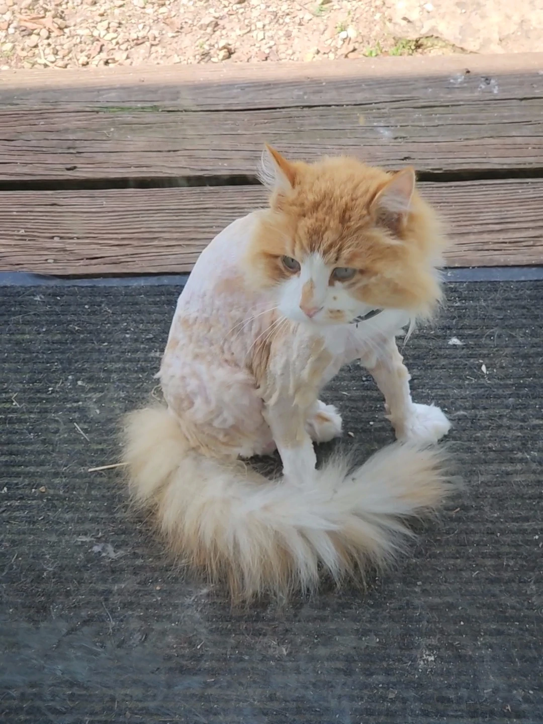 Face reveal 🥺👉👈 | Fandom