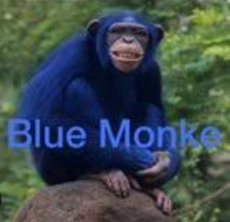 Realistic blue monke chain | Fandom