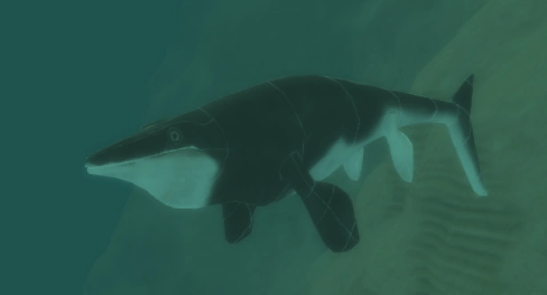 Platecarpus | Fandom