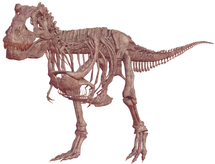 Discuss Everything About Dinosaur Simulator Wiki | Fandom
