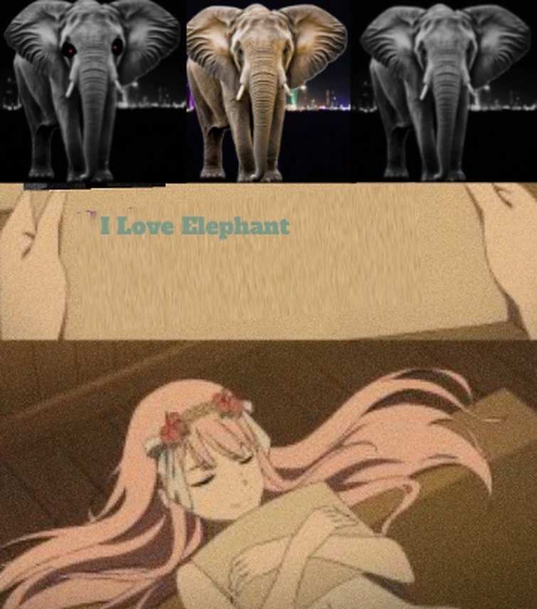 A Girl That is a Fan Of Elephant | Fandom