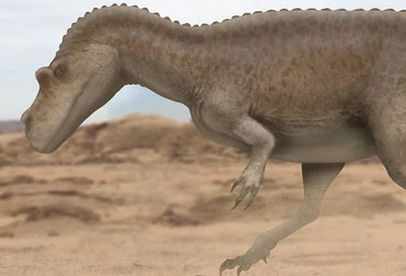 Dinopedia makes a Dinosaur Park Game: Small Ceratosaur | Fandom