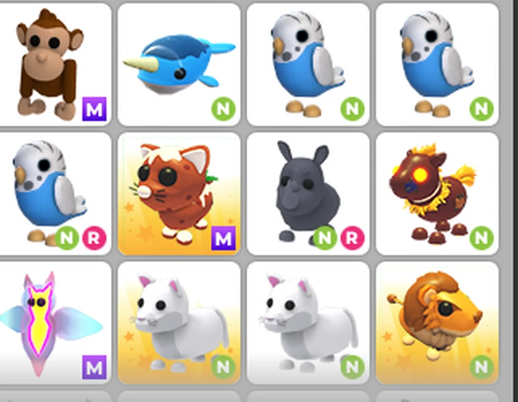 Discuss Everything About Adopt Me! Wiki | Fandom