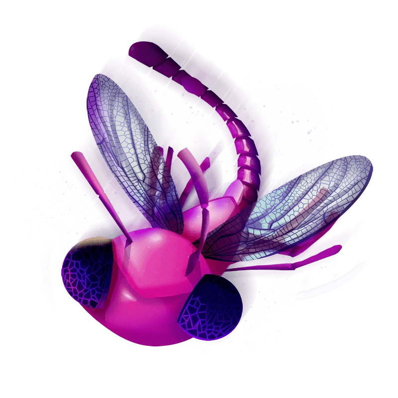 Kivi | 4thewords Wiki | Fandom