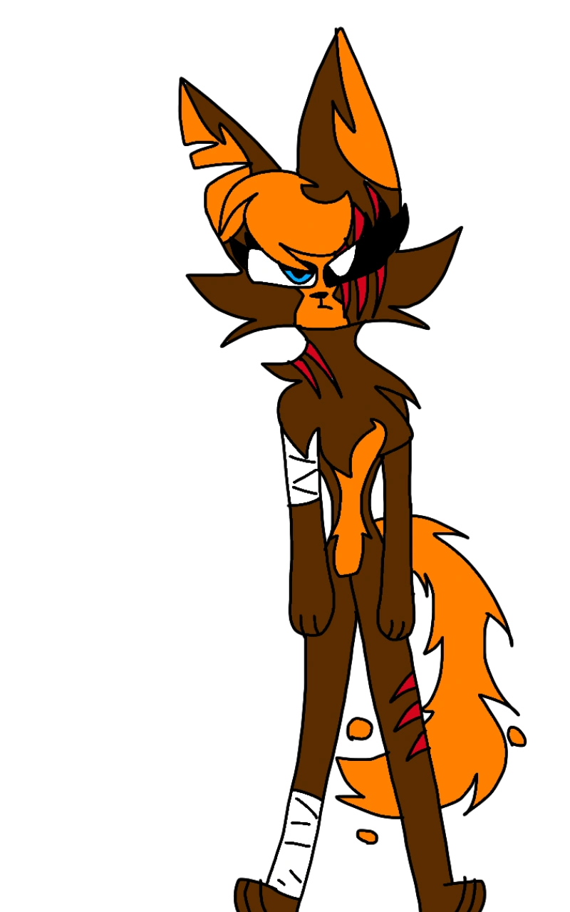 Kyle | 5 cat element Wiki | Fandom