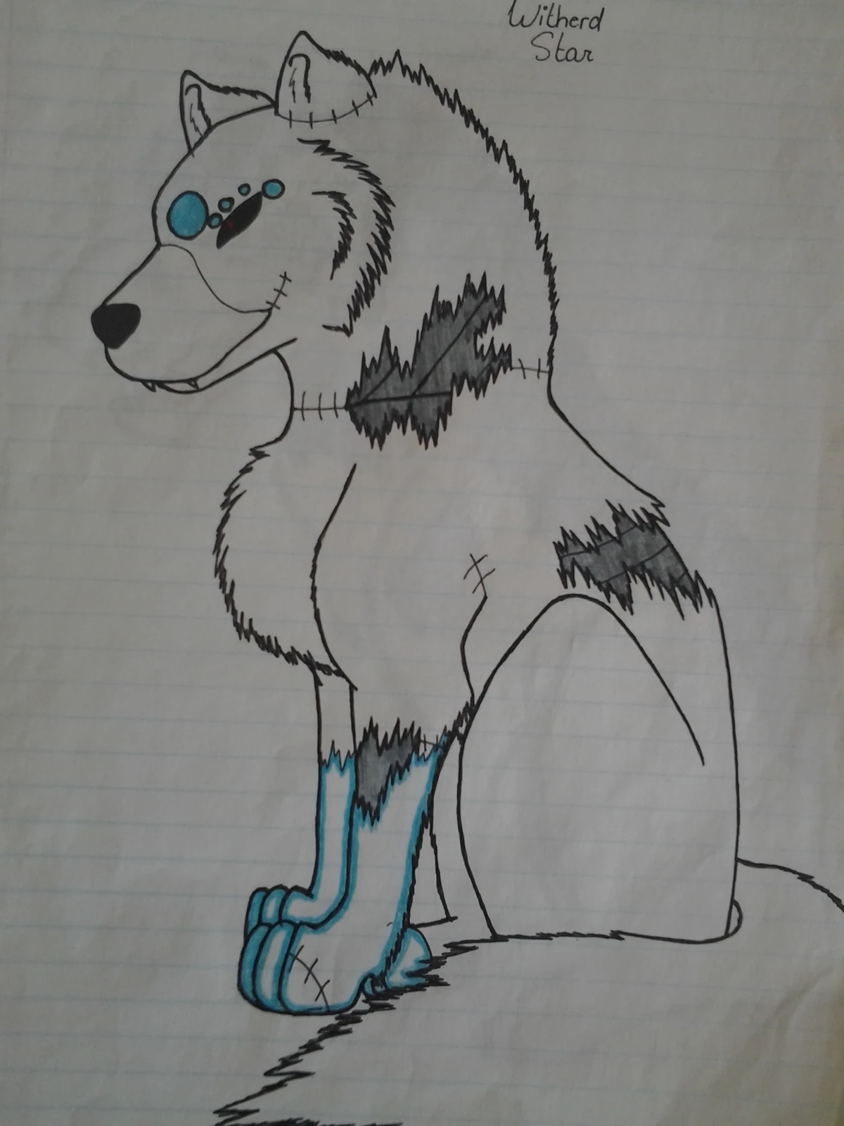 Star the Wolf | 5 Nights with Star and Coyote Wikia | Fandom