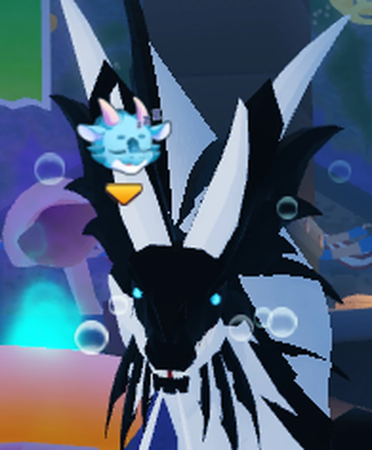 whats aranga worth now | Fandom