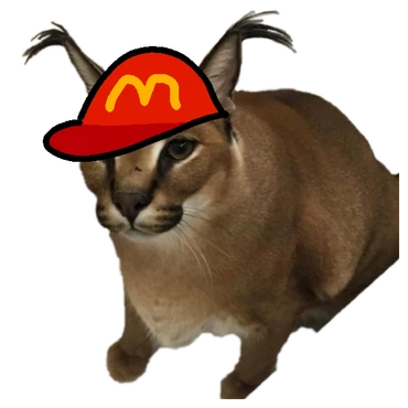 wich floppa | Fandom