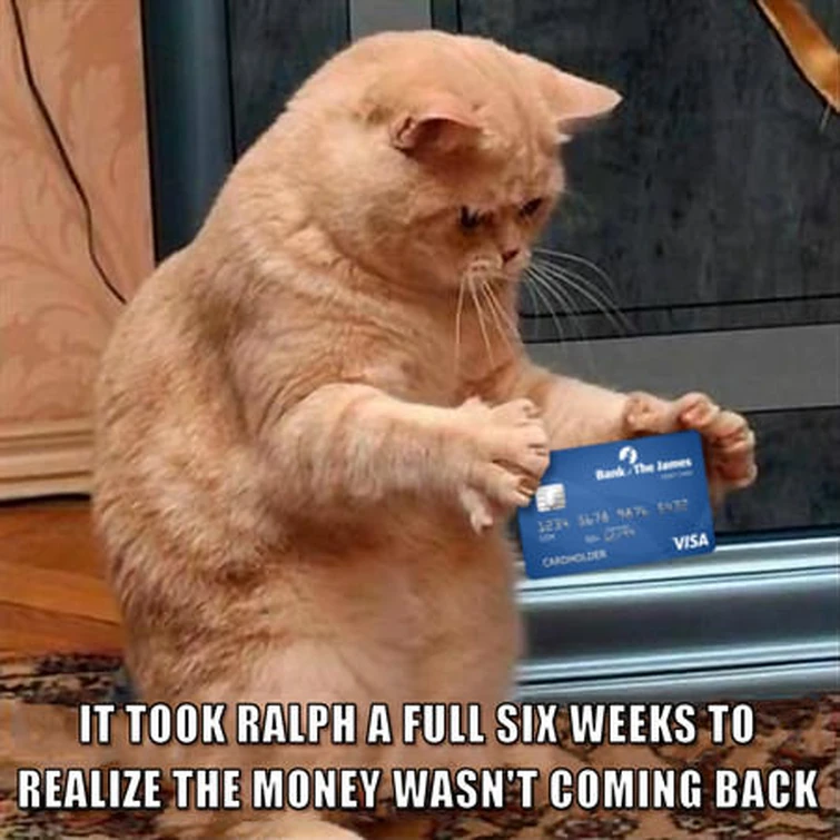 finance cookie | Fandom