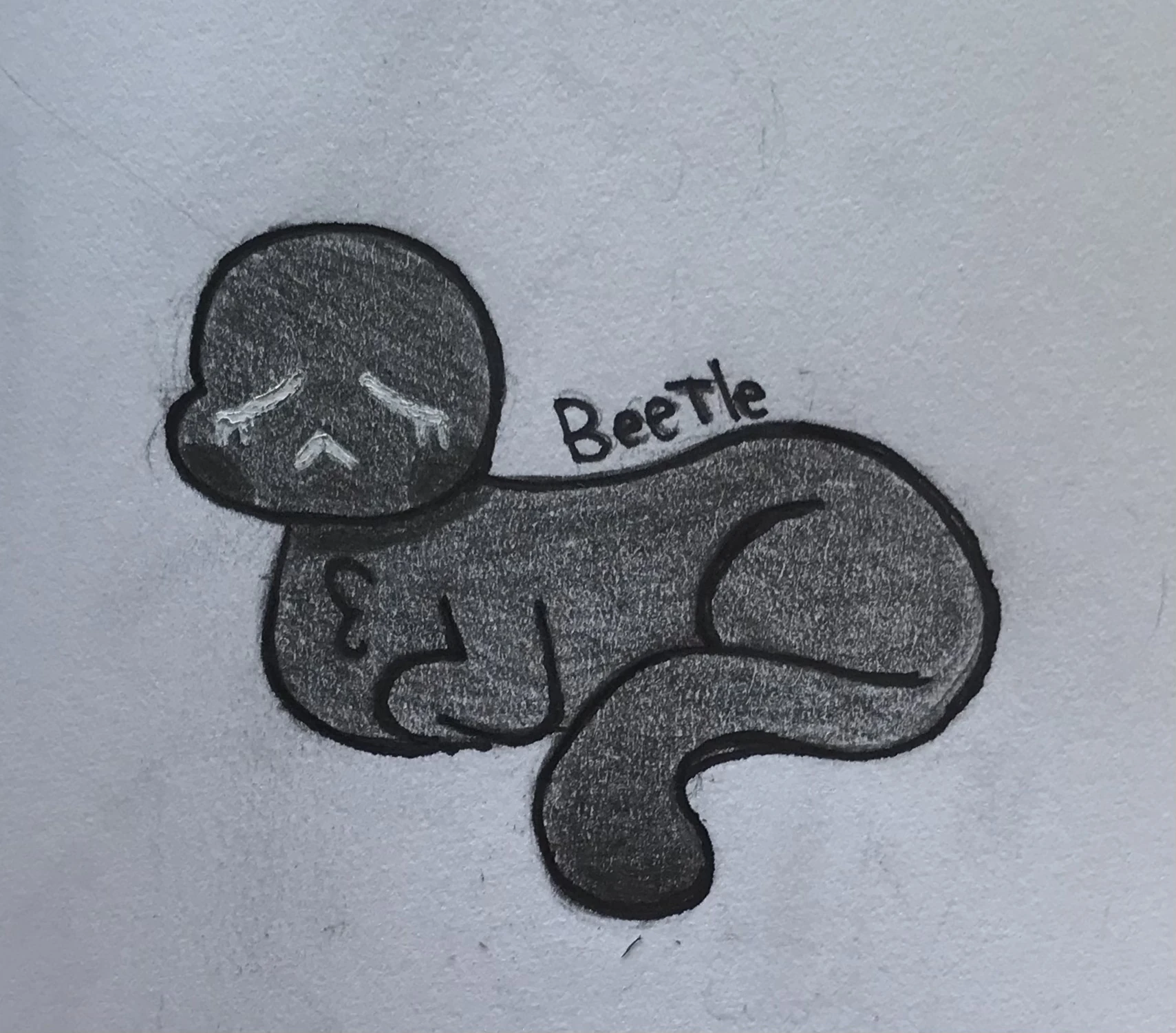 beetle is my sweet baby :D | Fandom