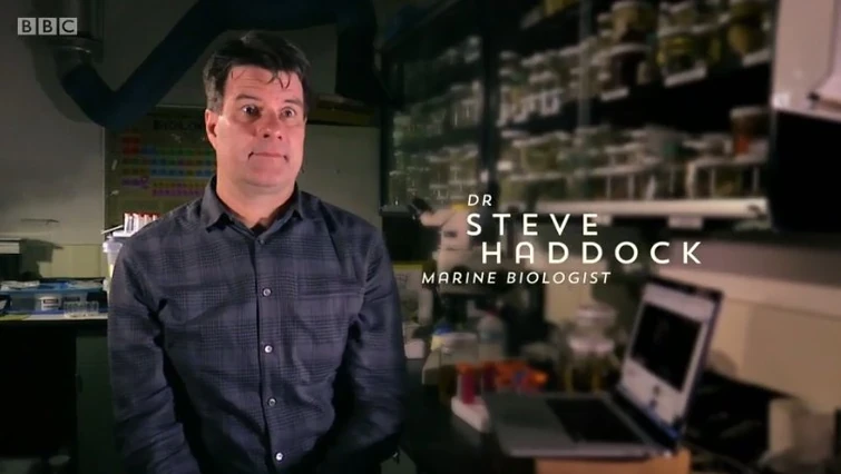 A real haddock | Fandom