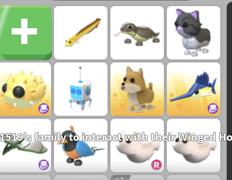 Discuss Everything About Adopt Me! Wiki | Fandom