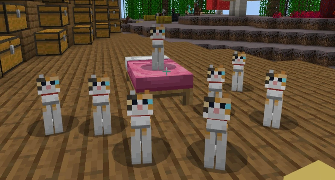 The Cat, Un Chat, El Gato... | Fandom