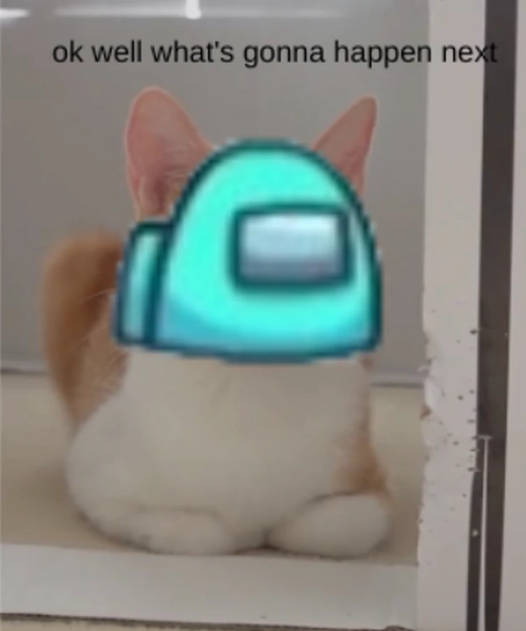 Among Us: Evolution episode two (The new arrival!) | Fandom