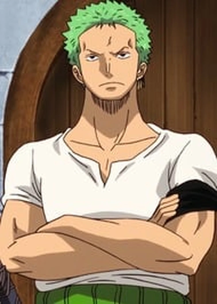 Zoro's pretimeskip picture on the wiki | Fandom