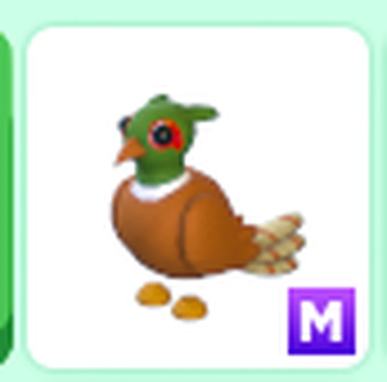 Double mega post! Mega brown pheasant+ parakeet finished ^^ | Fandom