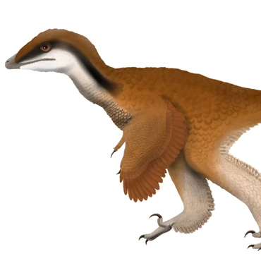 Discuss Everything About Dinopedia | Fandom