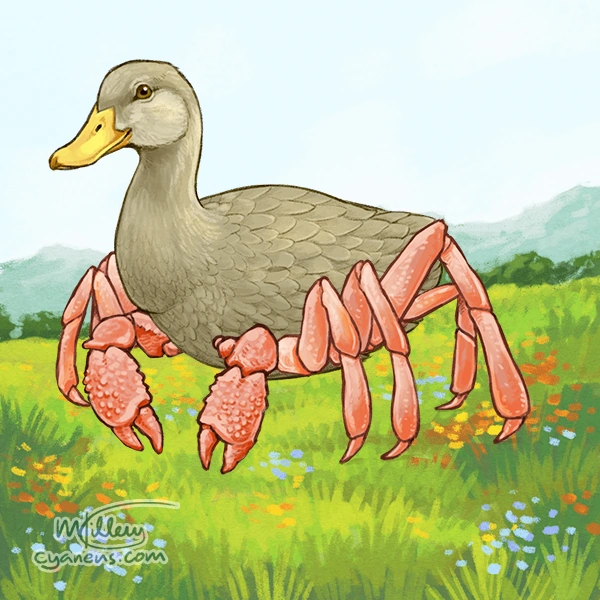 crab duck | Fandom