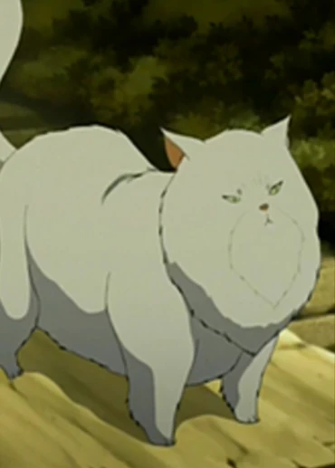 Discuss Everything About Avatar Wiki | Fandom