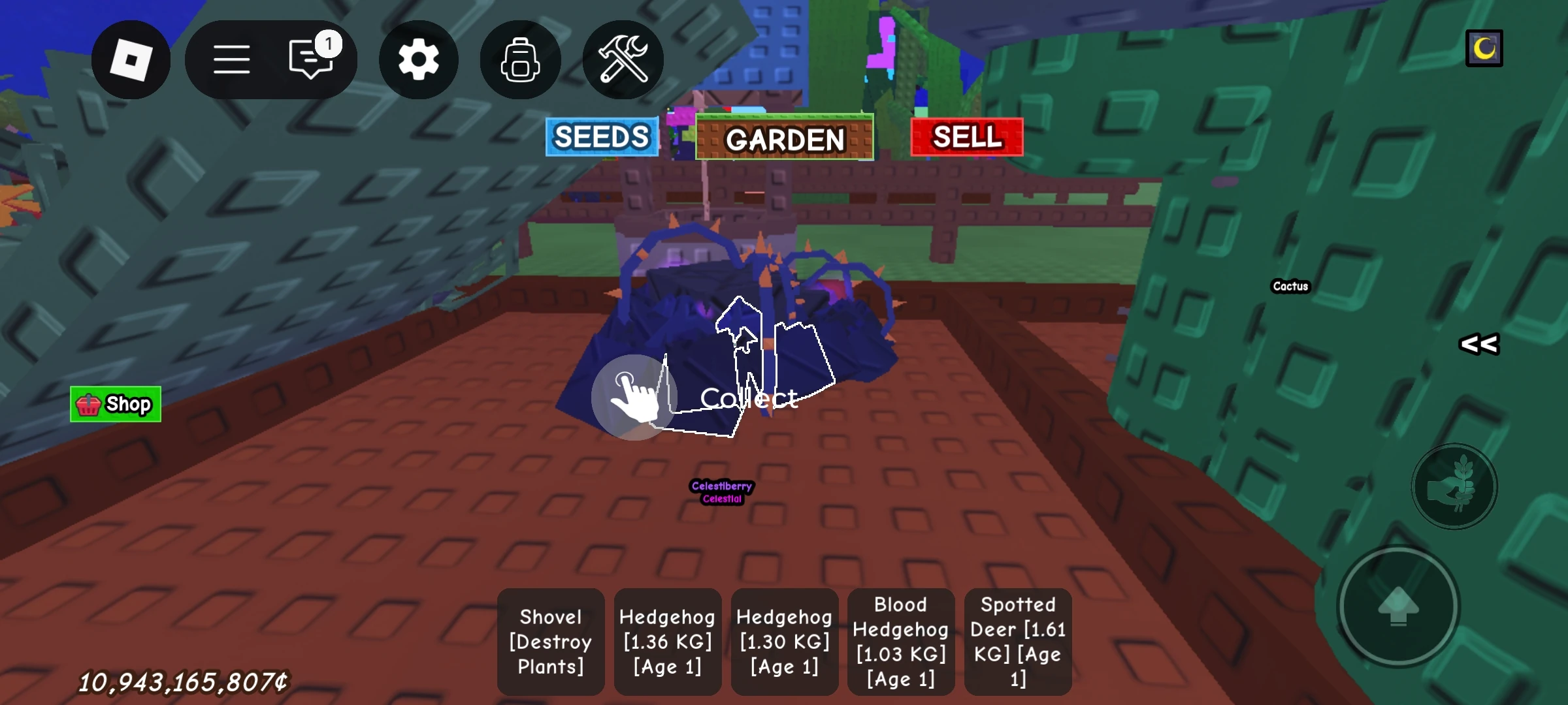 Celestiberry.. More like celestialBerry | Fandom