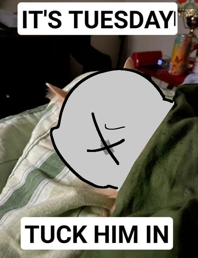 Tuck the burnt-out college kid in | Fandom