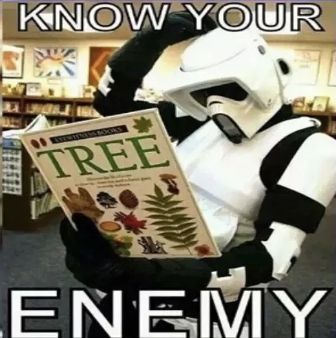Endor......... | Fandom