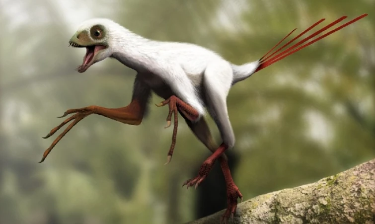 Species profile | Fandom