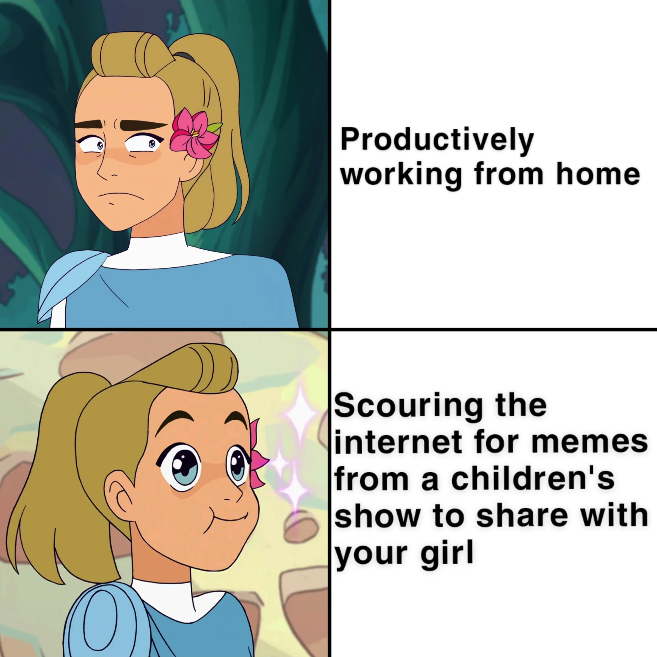 She-ra MEMES | Fandom