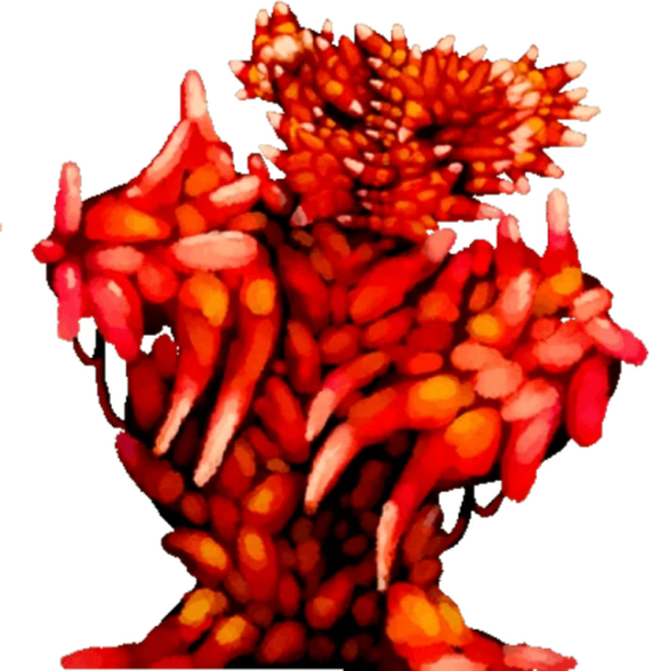 Discuss Everything About Roblox BEAR Wiki | Fandom