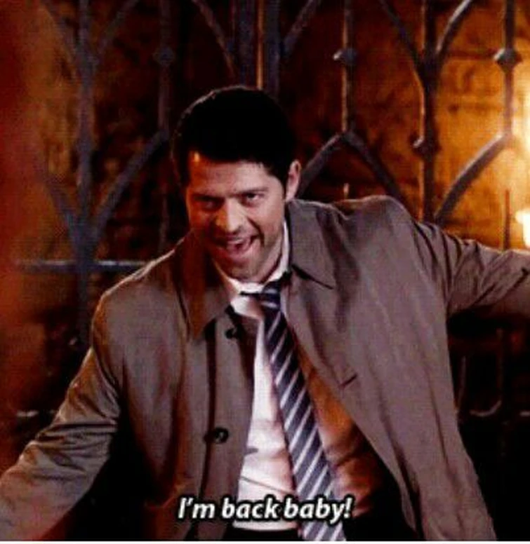 I'm back, baby | Fandom