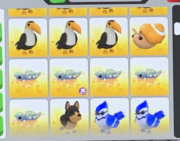 Discuss Everything About Adopt Me! Wiki | Fandom