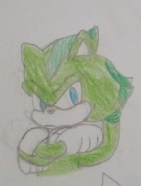 My Sonic oc's | Fandom