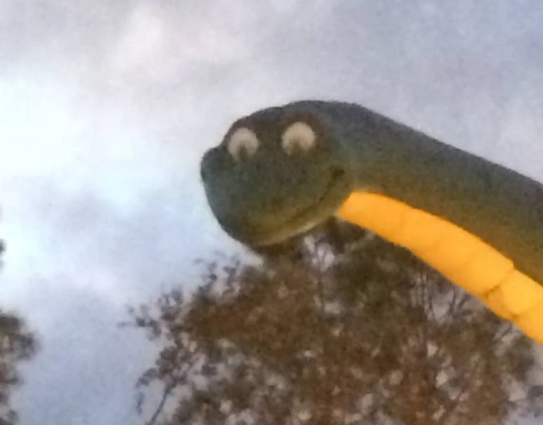 Ummmmmm....... | Fandom