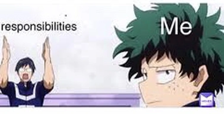 Random MHA Stuff That Will Make You Say “Plus Ultra” | Fandom