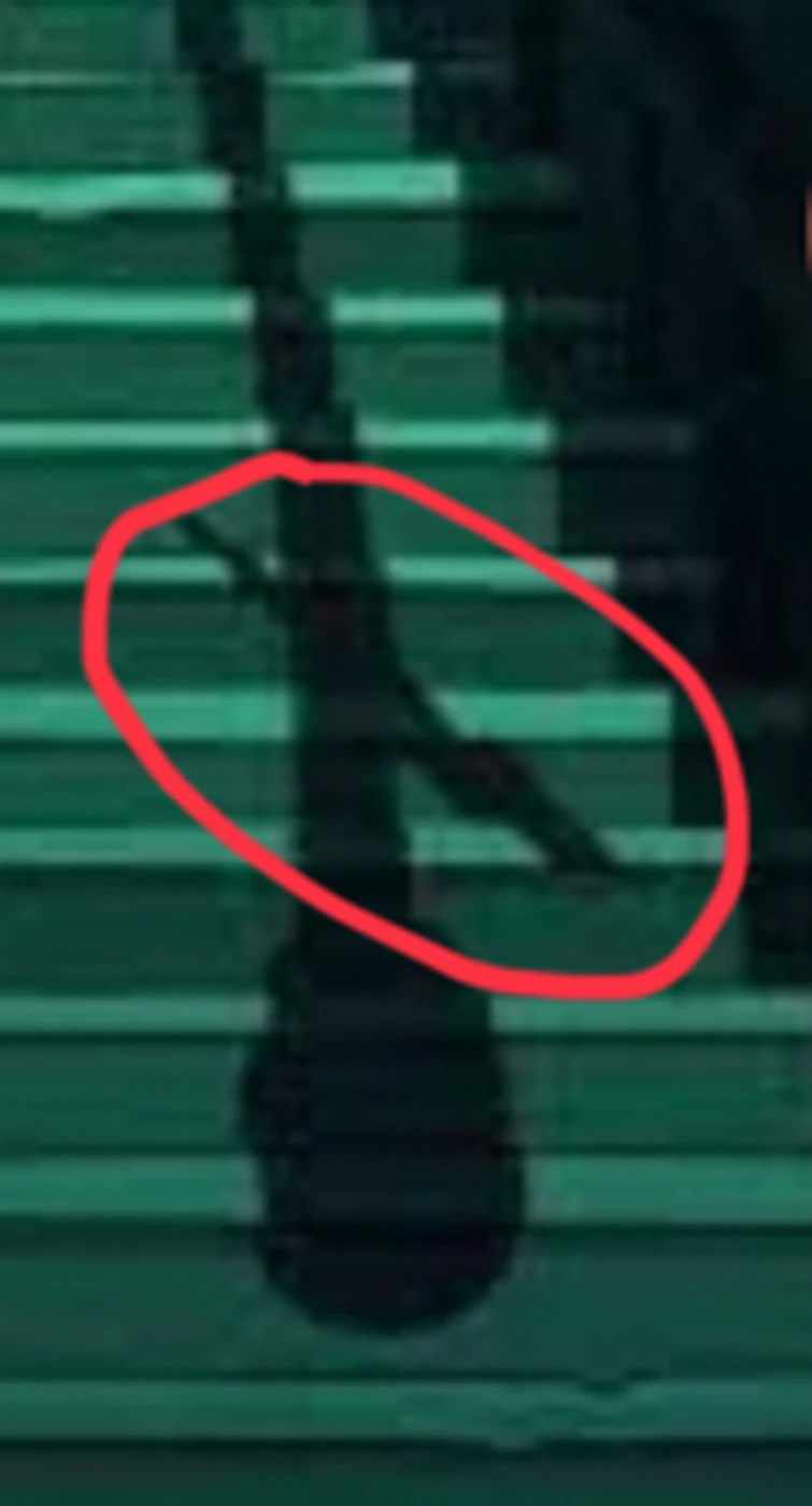 Luz is going to die | Fandom