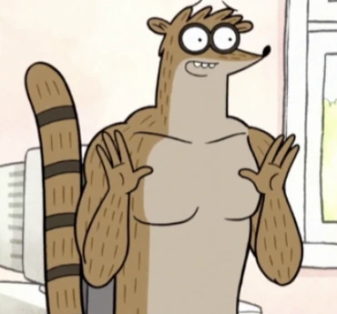 Pick Your Favorite Raccoon Character? | Fandom
