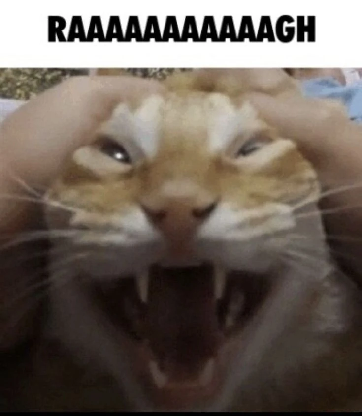 Casually returns (Intro?) | Fandom