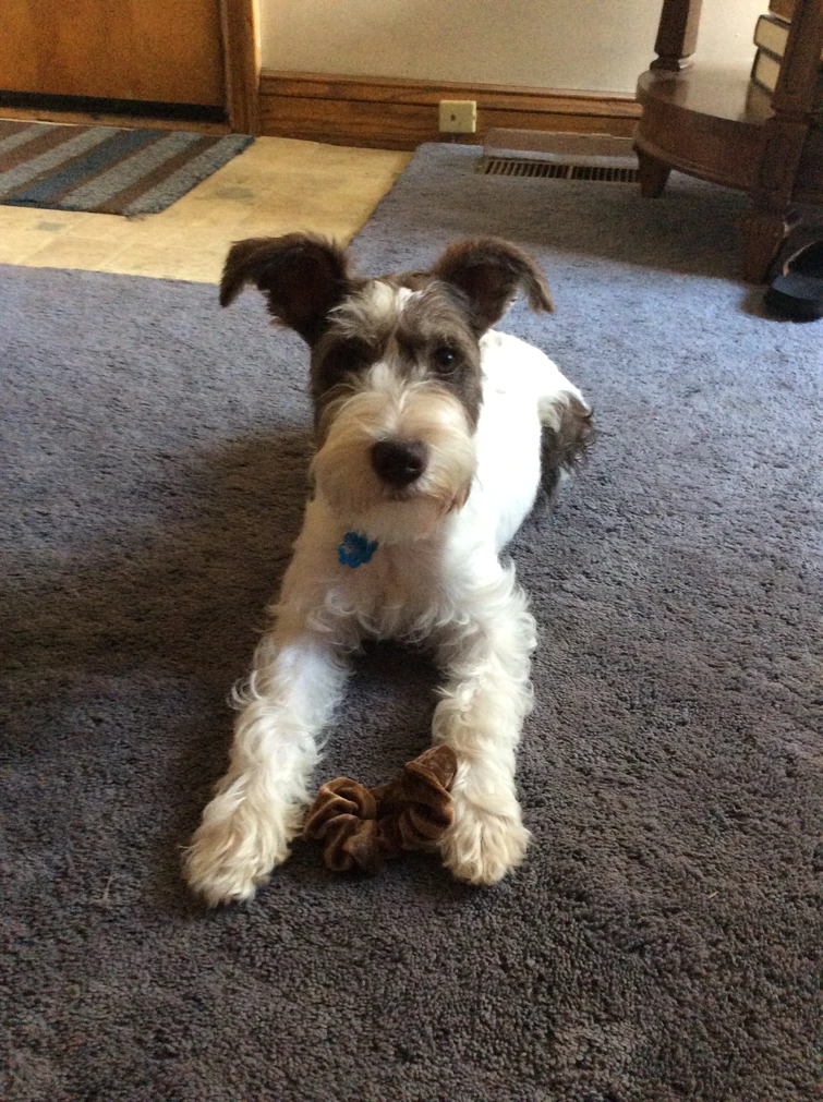 I GOT SOME GOOD PICS OF MILO | Fandom