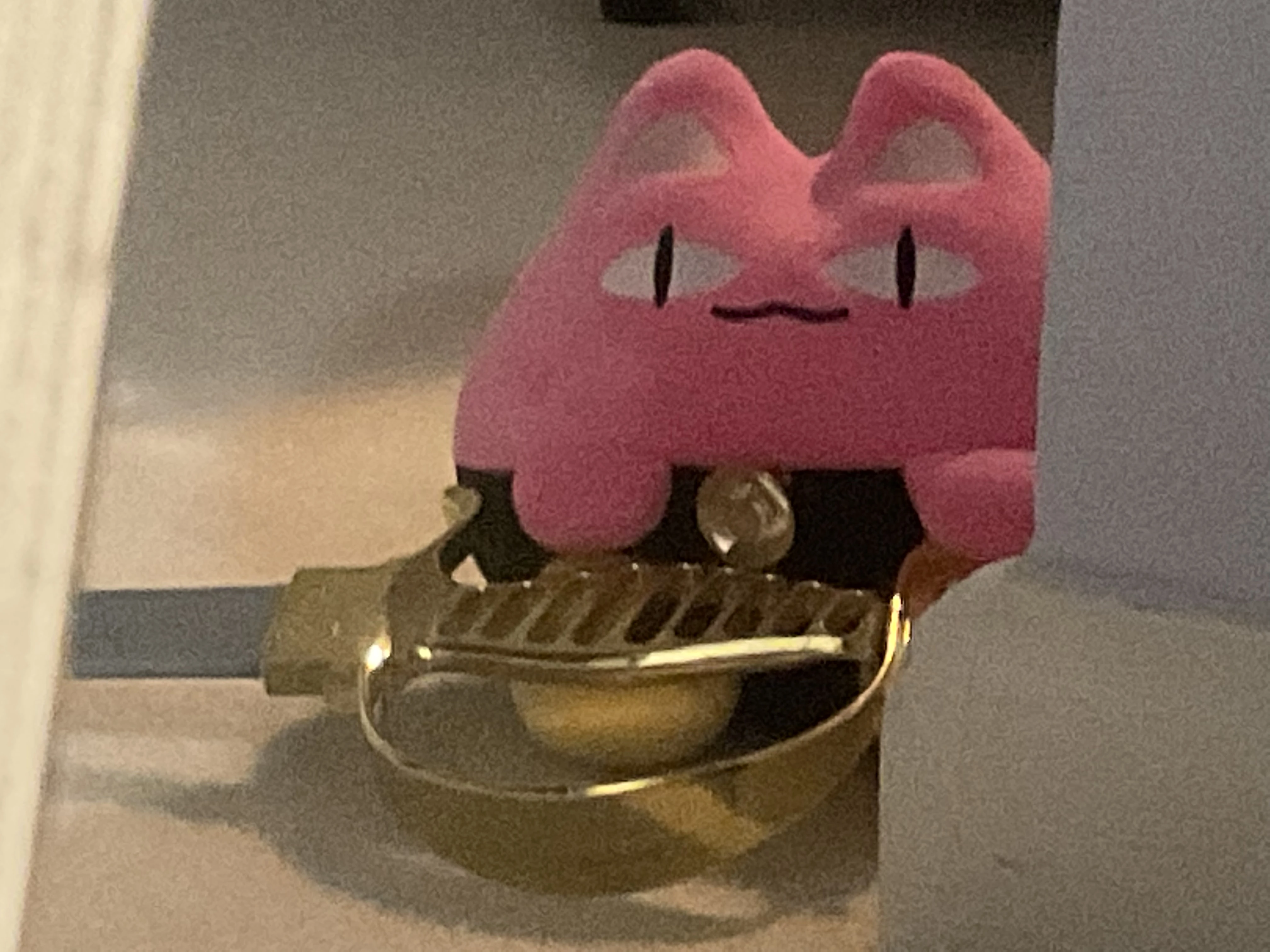 Comfort the Dinkle | Fandom