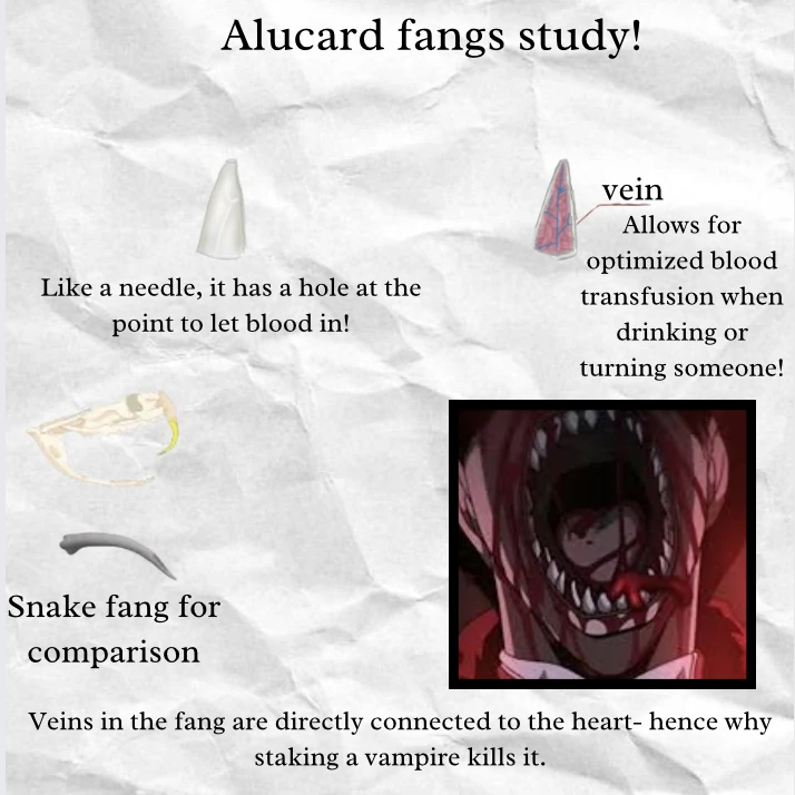 Fangs study!!! | Fandom