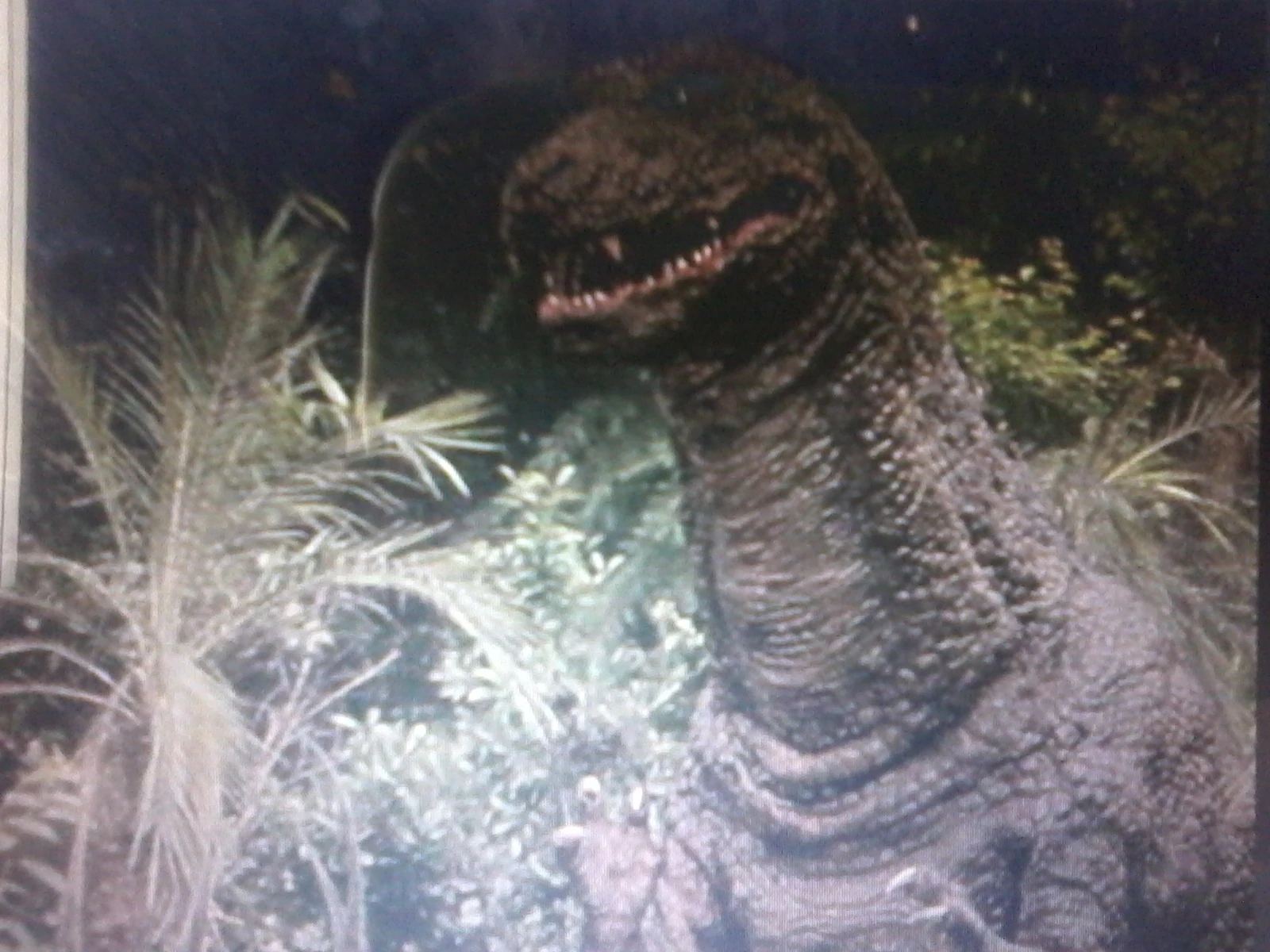 Godzilla Trivia | Fandom