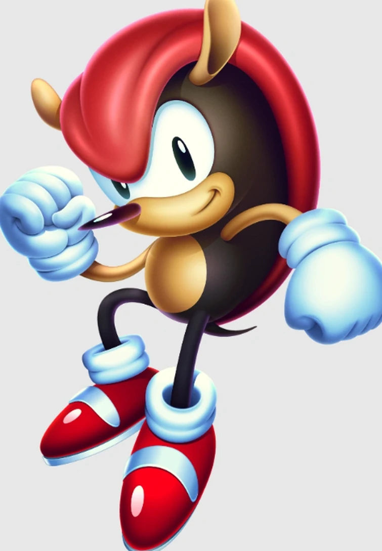 The Chaotix Detective Agency Game. | Fandom