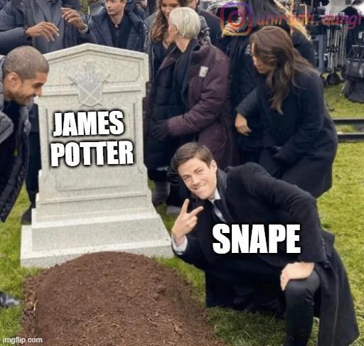 my Favorite HP memes: | Fandom