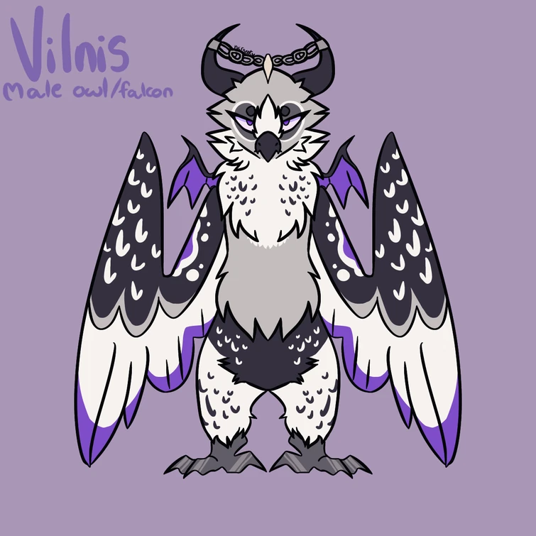 owl ocs | Fandom