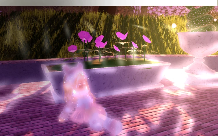 💕 Photoshoot At Divina Park! 🌱 | Fandom