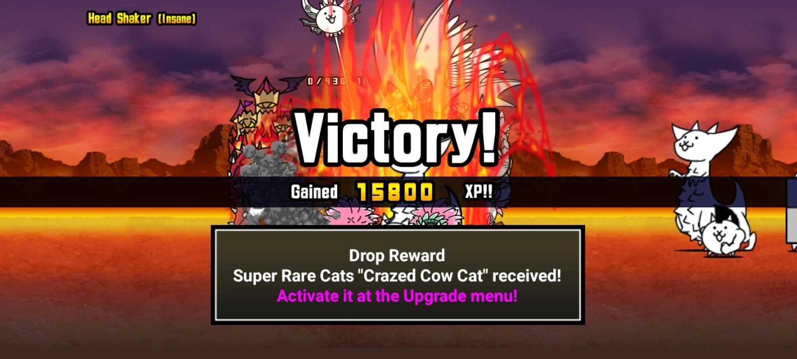 First three crazed cats | Fandom