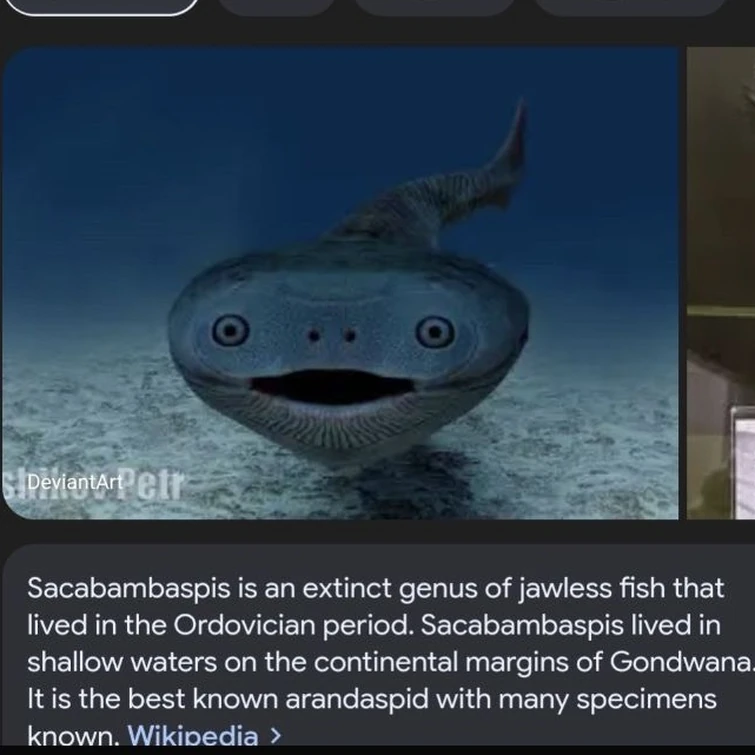 Scary Sacabambaspis jumpscare | Fandom