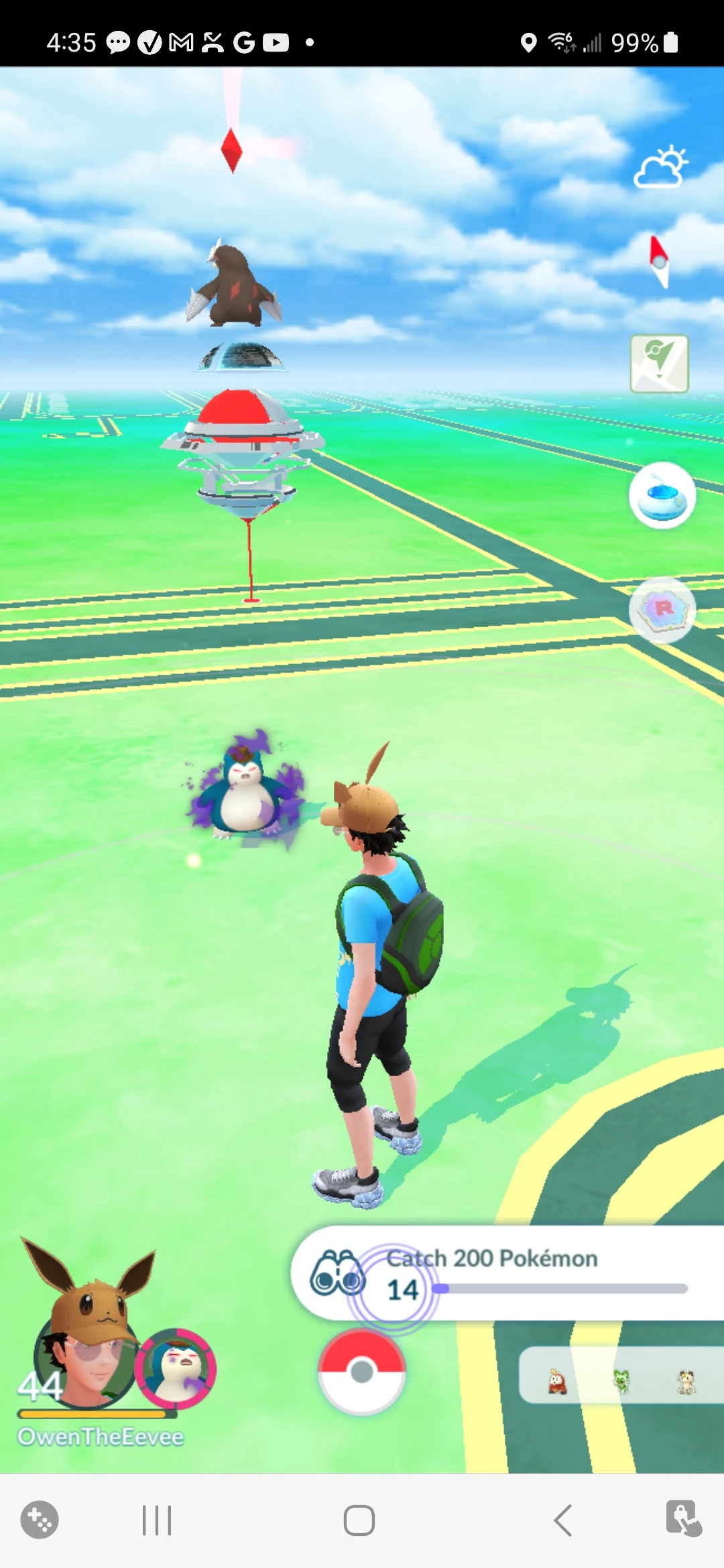 World's Smallest Snorlax | Fandom