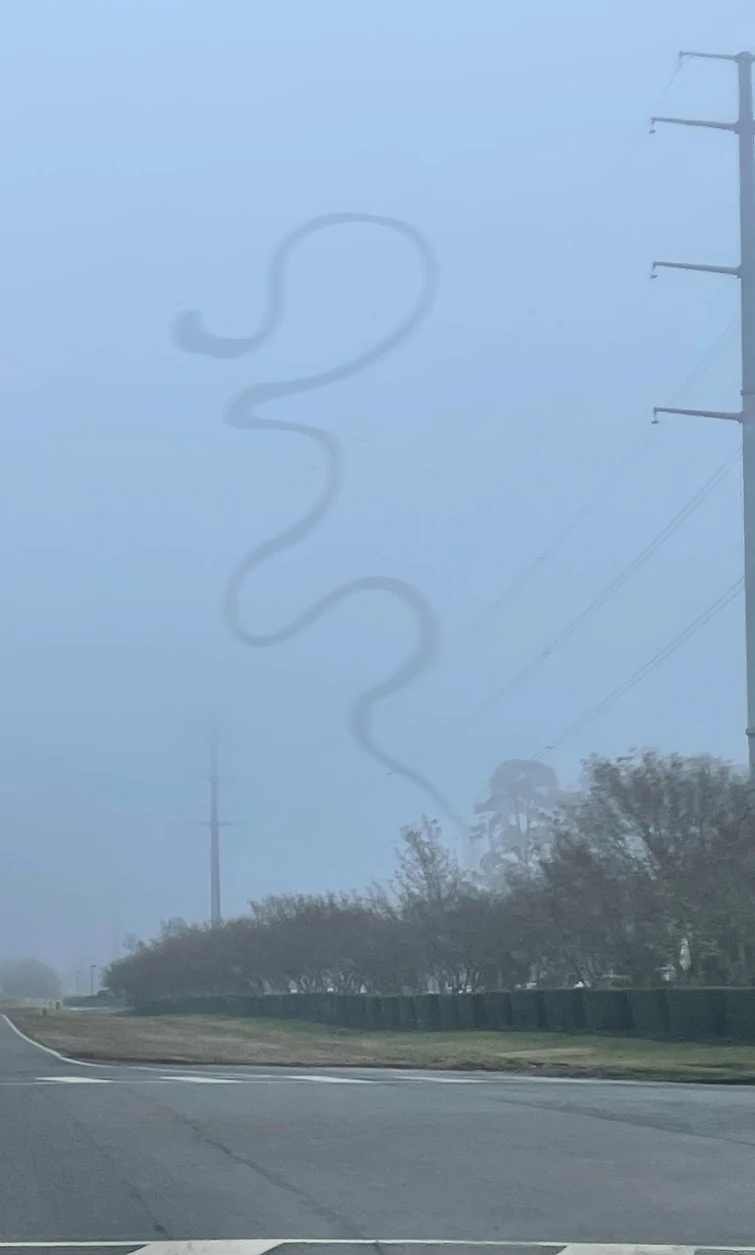 Sky worm | Fandom